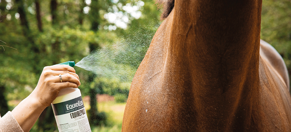 Produits pour chevaux de loisirs et randonnées équestres
